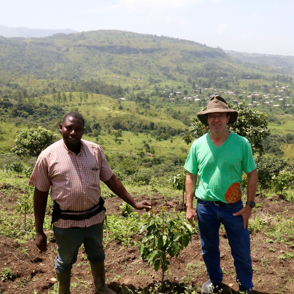 Cameroon Boyo Coffee, Cameroon